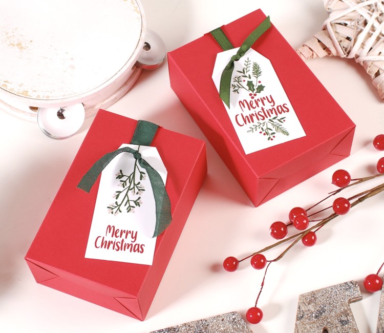 Gift boxes for Christmas
